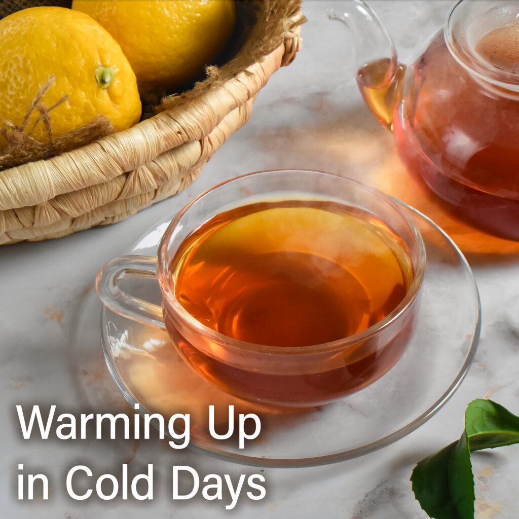 Enchanting Winter Solstice: The Aroma of Yuzu in Japan - Yamasan Co., Ltd.