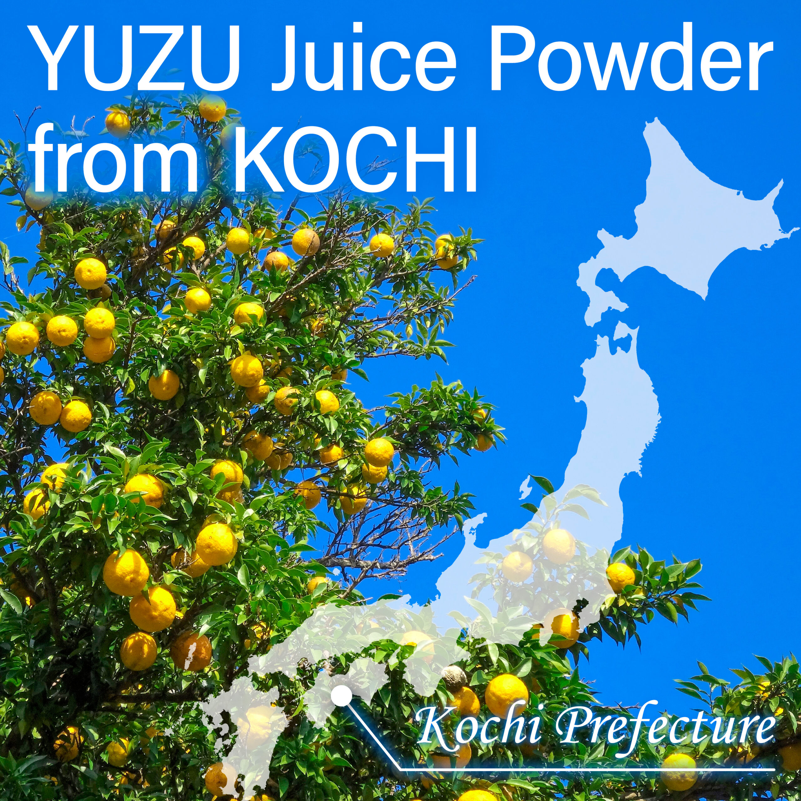 Yuzu Matcha - Yamasan Co., Ltd.